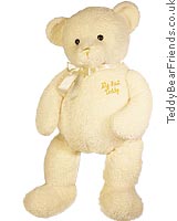 Baby's First Teddy Bear